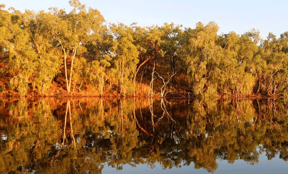 Australian Wilderness | Luxury Holidays |Turquoise Holidays