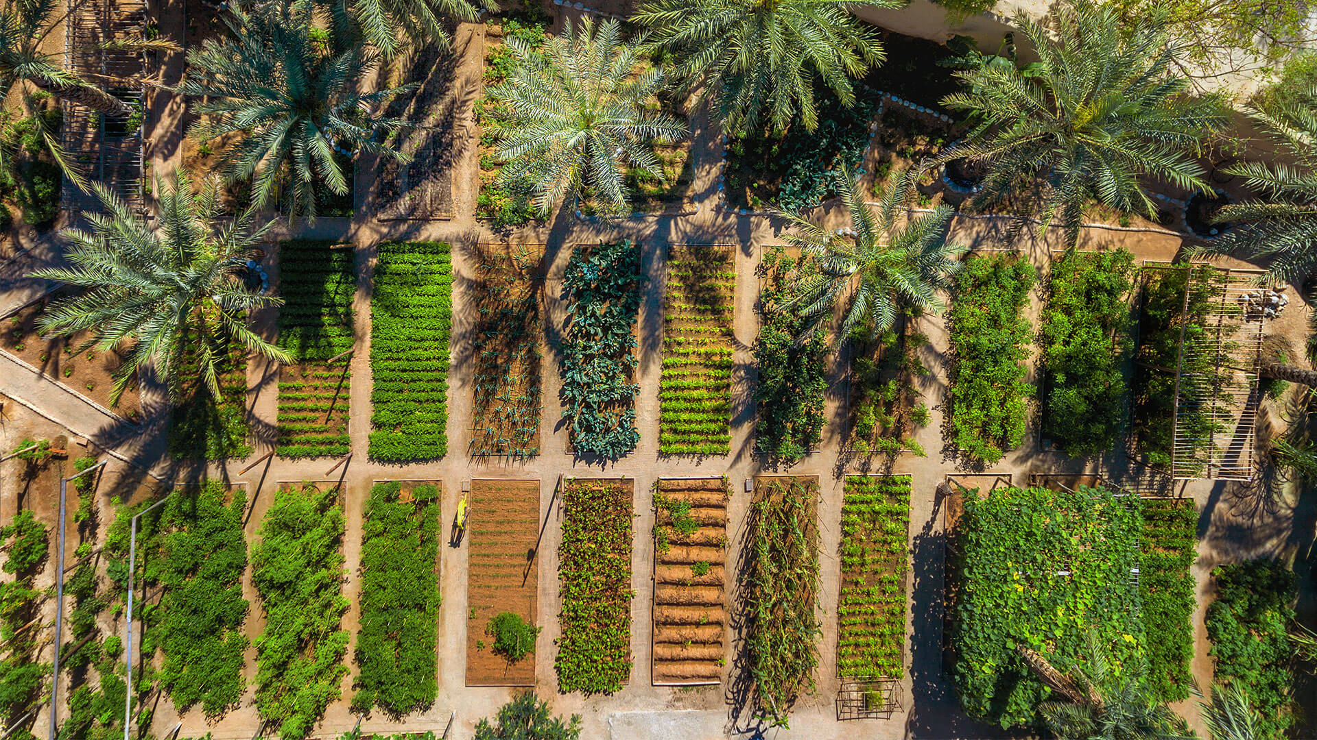 Farm To Table Food In Oman | Six Senses Zighy Bay Dibba