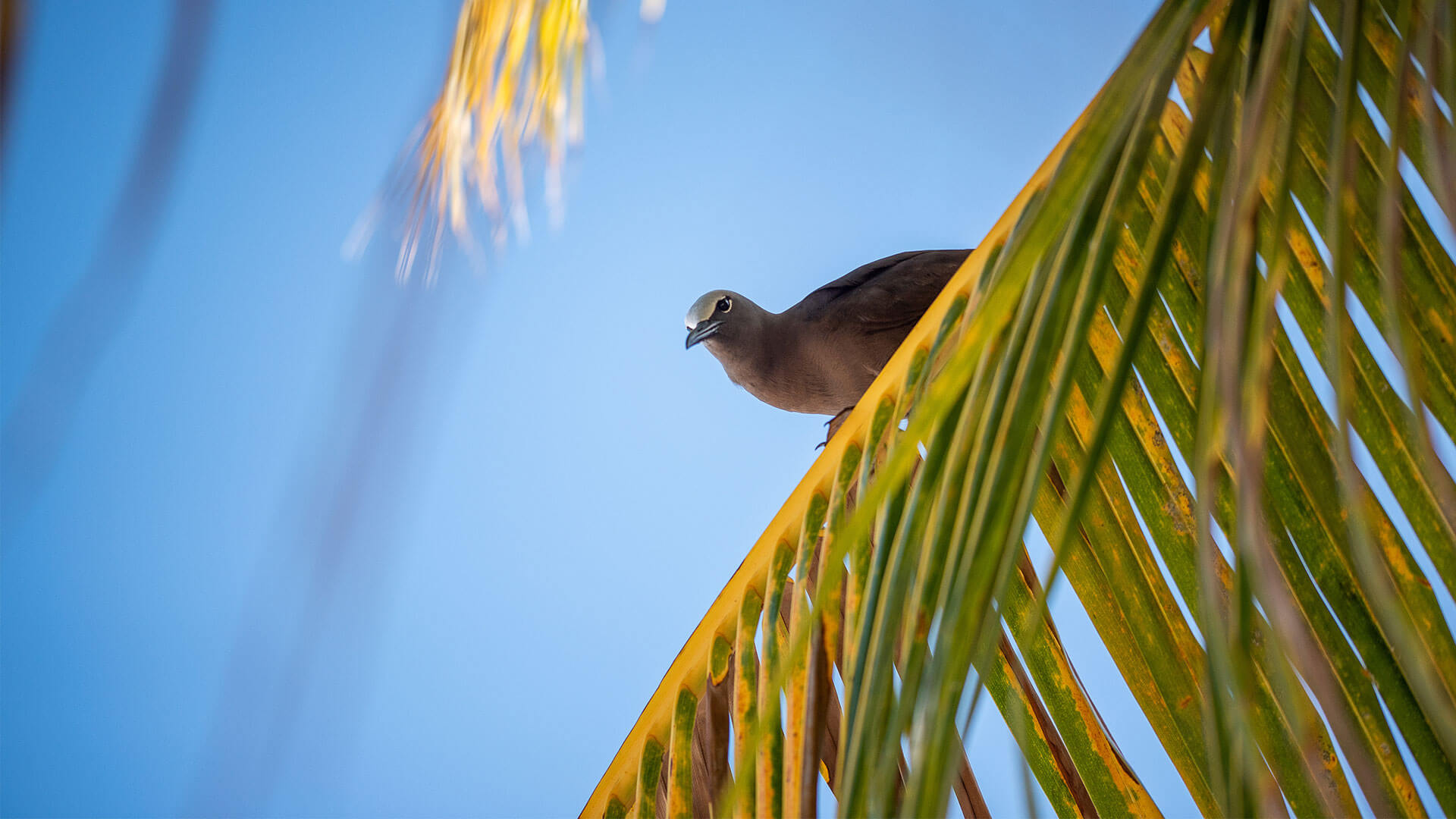 Meet the Masons | Seychelles Tourism Industry | Turquoise Holidays