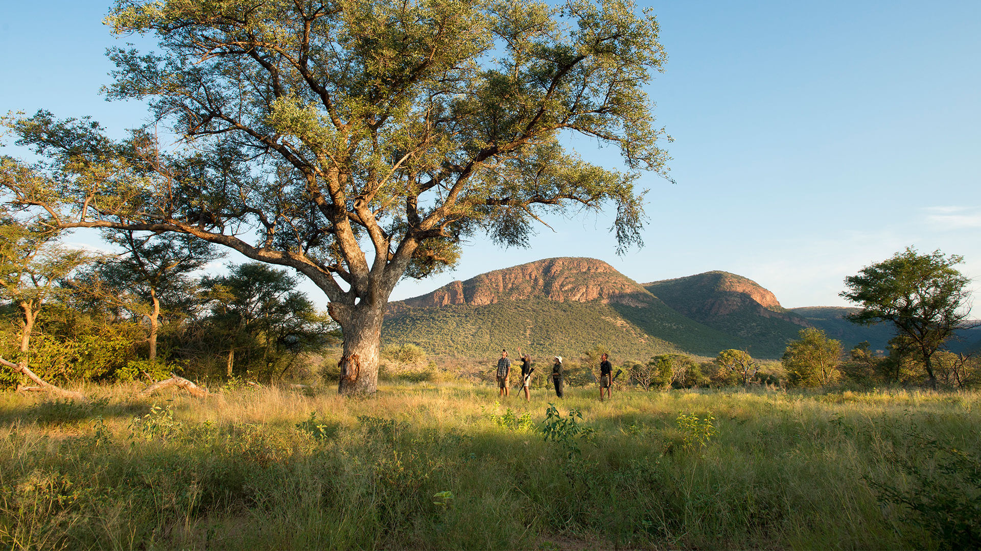 Introducing... the 'Little Five'! | South Africa | Turquoise Holidays
