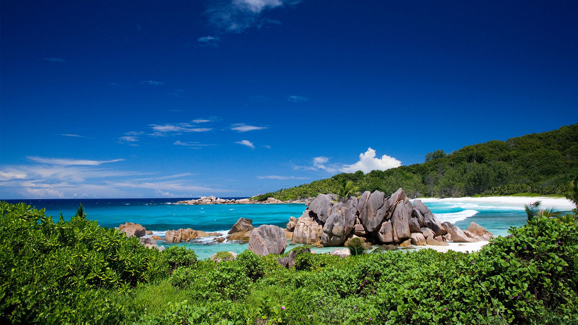 Top things to do in the Seychelles | Inspiration | Turquoise Holidays